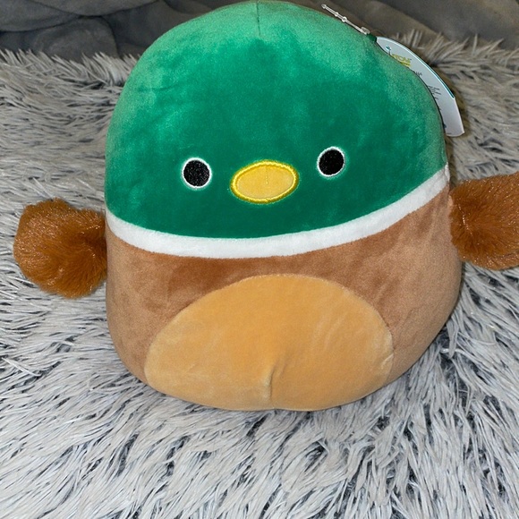 Squishmallows | Other | Avery The Mallard Duck 8 Squishmallow | Poshmark